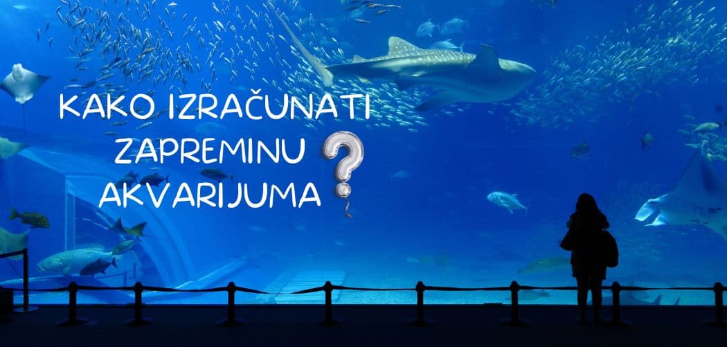 Akvarijum Kalkulator » Svet Akvaristike