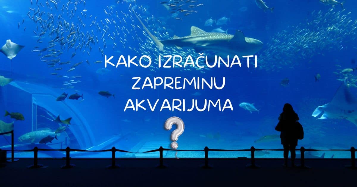 Akvarijum Kalkulator » Svet Akvaristike