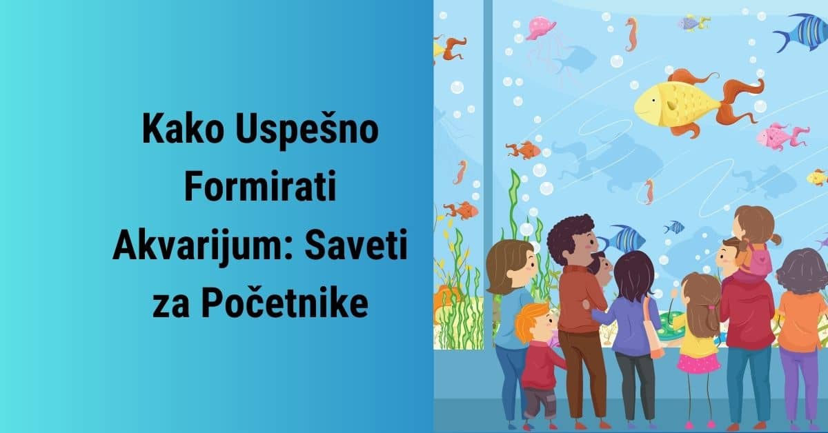 Kako Uspešno Formirati Akvarijum: Saveti za Početnike » Svet Akvaristike