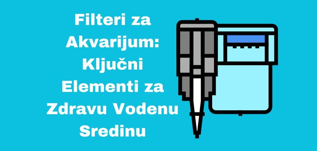 Filteri za Akvarijum: Ključni Elementi za Zdravu Vodenu Sredinu » Svet ...
